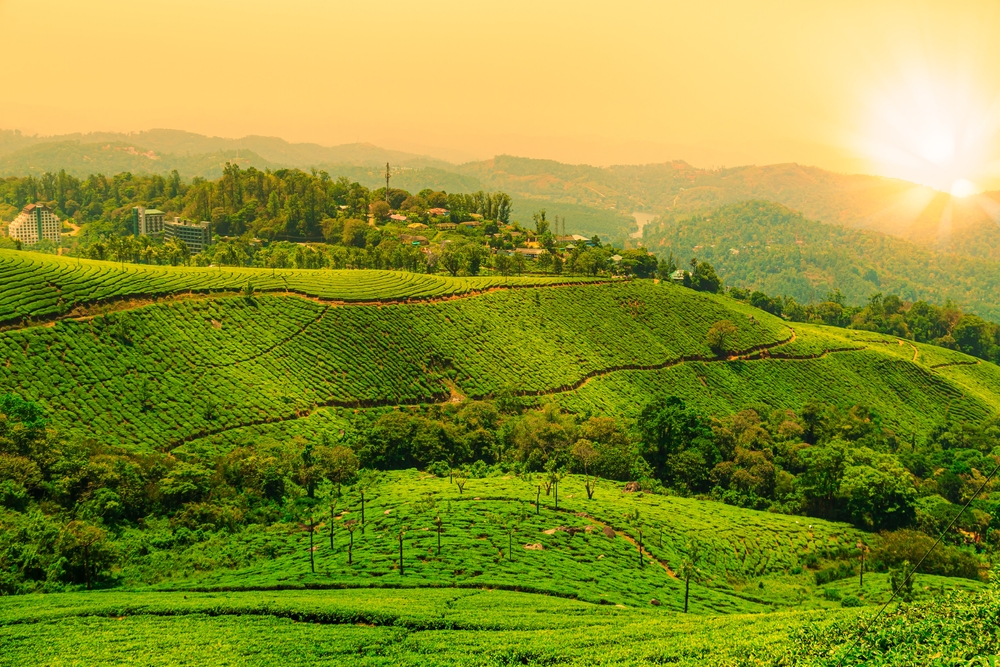 Budget Friendly Places To Visit In January In South India This 2024 budget-friendly-places-to-visit-in-january-in-south-india-this-2024